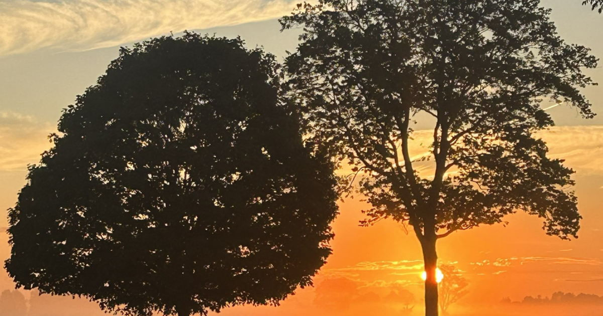 Mug Shot of the Week: Jordan Freeman