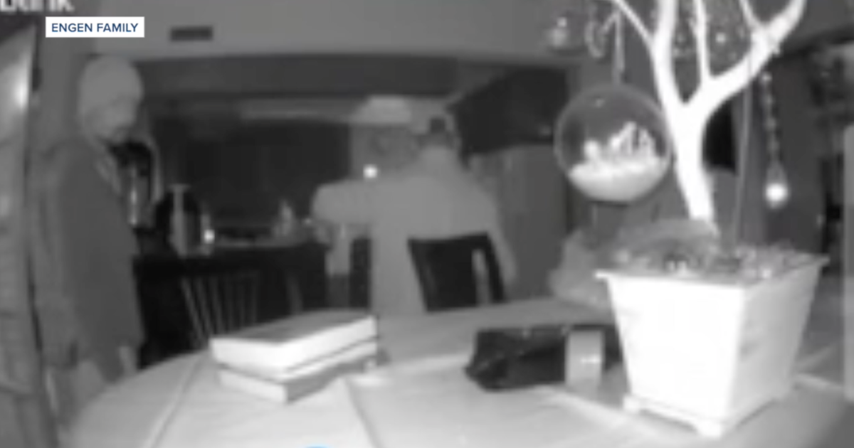 Caught on video: Burglars targeting Oak Park home in broad daylight Caught on video: Burglars targeting Oak Park home in broad daylight