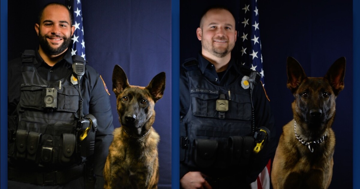 Meet Leo and Ace: GRPD introduces new bomb-sniffing K-9 officers