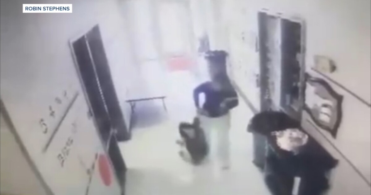 Hamilton ISD under fire after video appears to show teacher dragging ...
