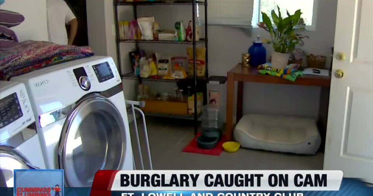 TPD needs help identifying burglar TPD needs help identifying burglar
