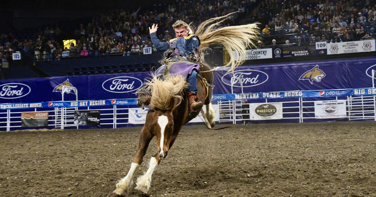 Montana State starts strong at Spring Rodeo