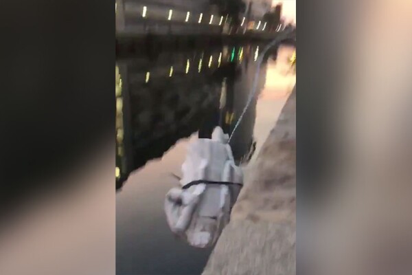 Christopher Columbus statue retrieved from the harbor