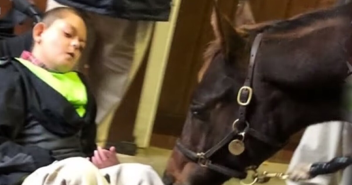 Remembering Cody Dorman