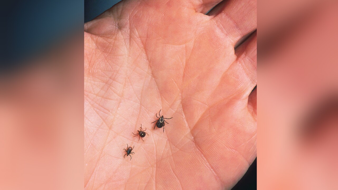 A man went to the optometrist with something stuck in his eye. The ...