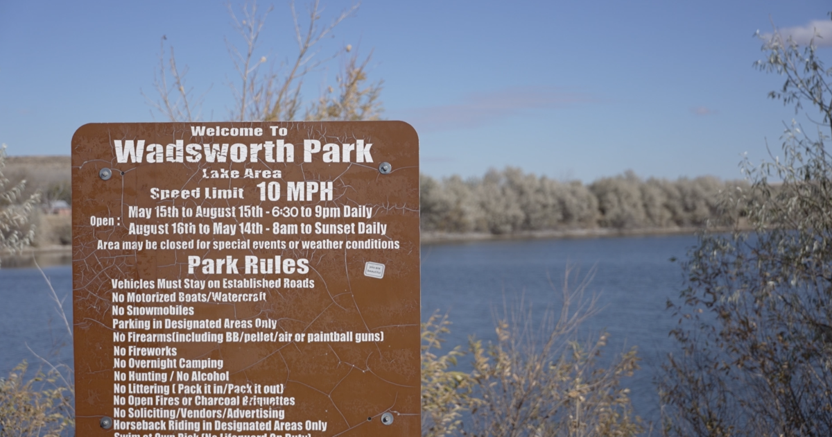 Wadsworth Pond Community Coalition working to improve the park