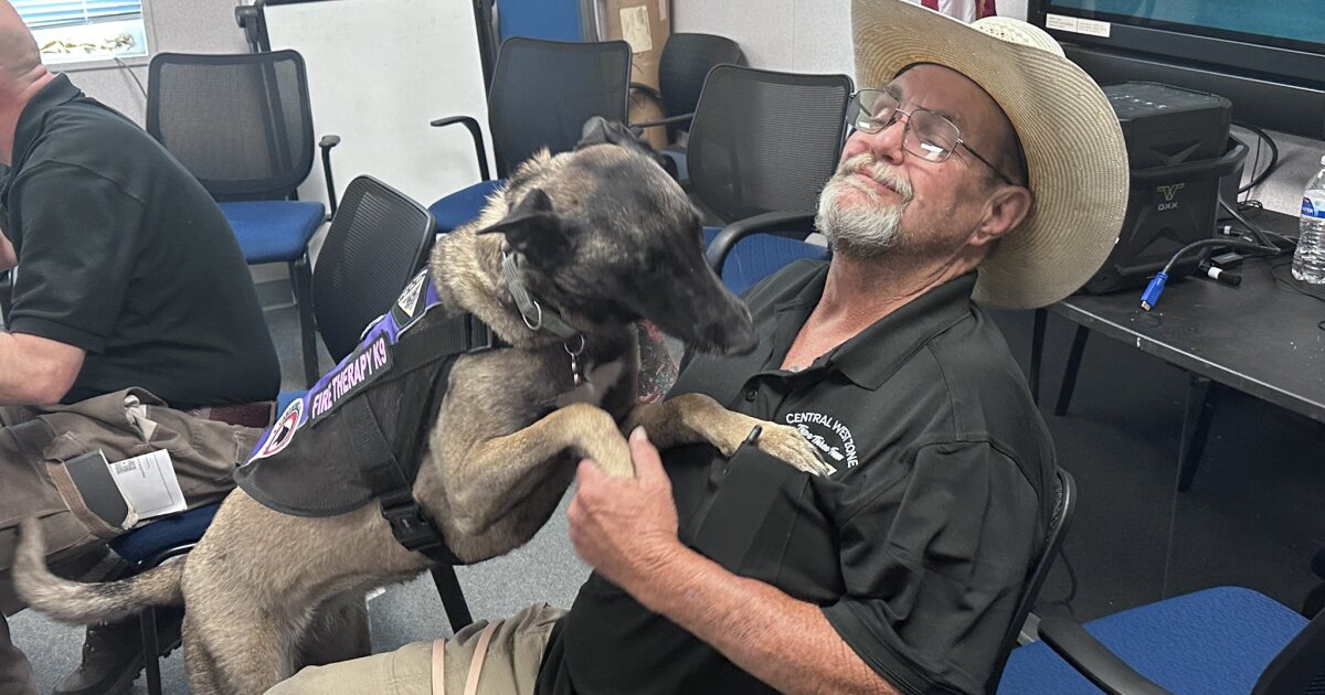 WATCH: Meet Xena, the service dog bringing smiles to firefighters