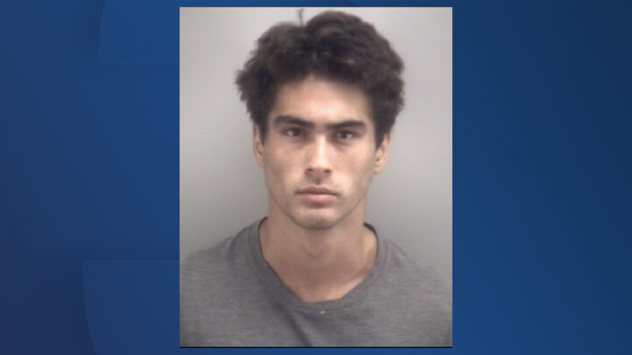 Man charged with maiming, DUI after pedestrian hit on Shore Drive Man charged with maiming, DUI after pedestrian hit on Shore Drive