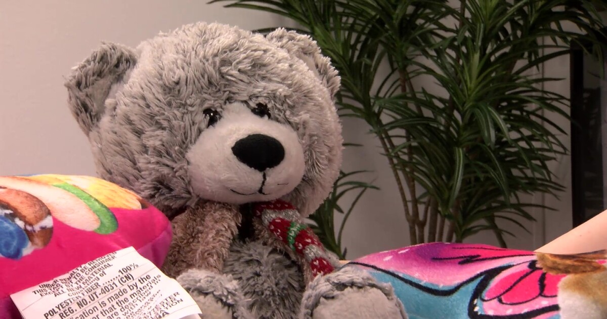 Student collecting teddy bears to help young assault victims