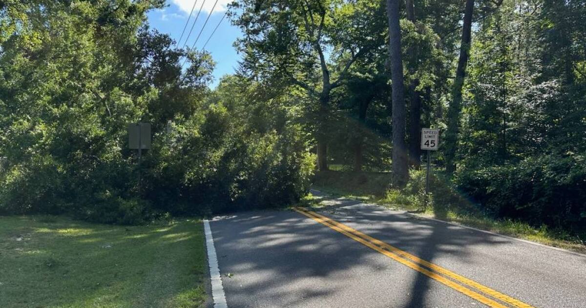 UPDATE: North Meridian Road open again following downed tree