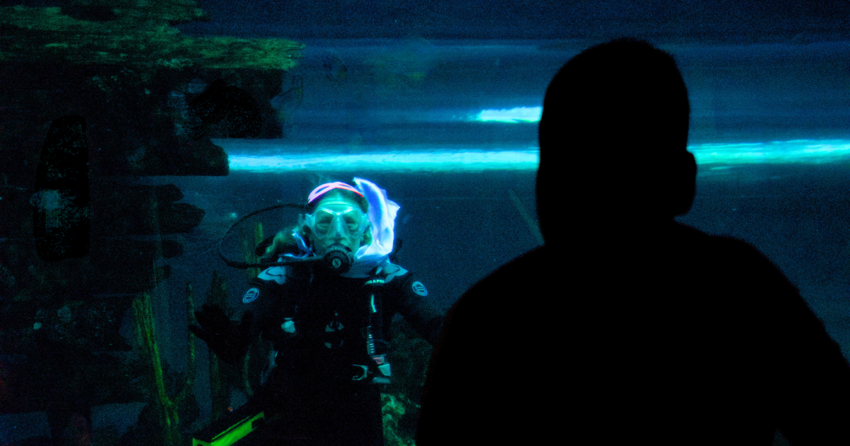 Superhero-themed "Dream Night" creates inclusive experience at State ...