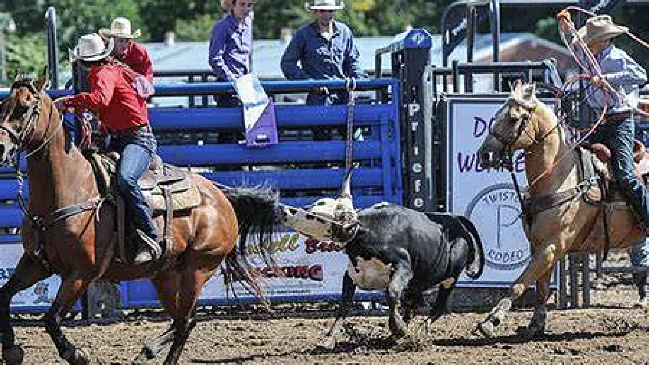 40 years of Frontier Days