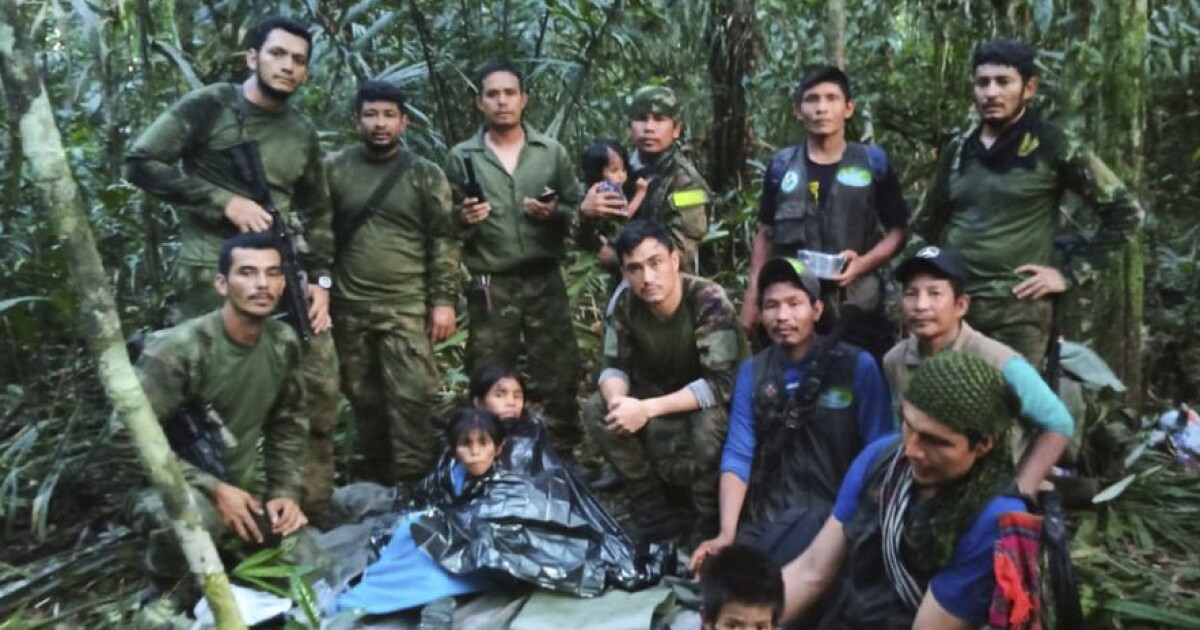 Indigenous searchers say they used ayahuasca to help find downed plane