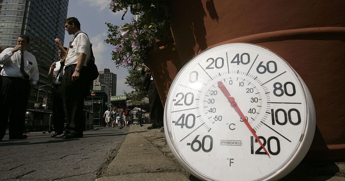 Beware of hot pavement in summer — it can cause second-degree burns in ...