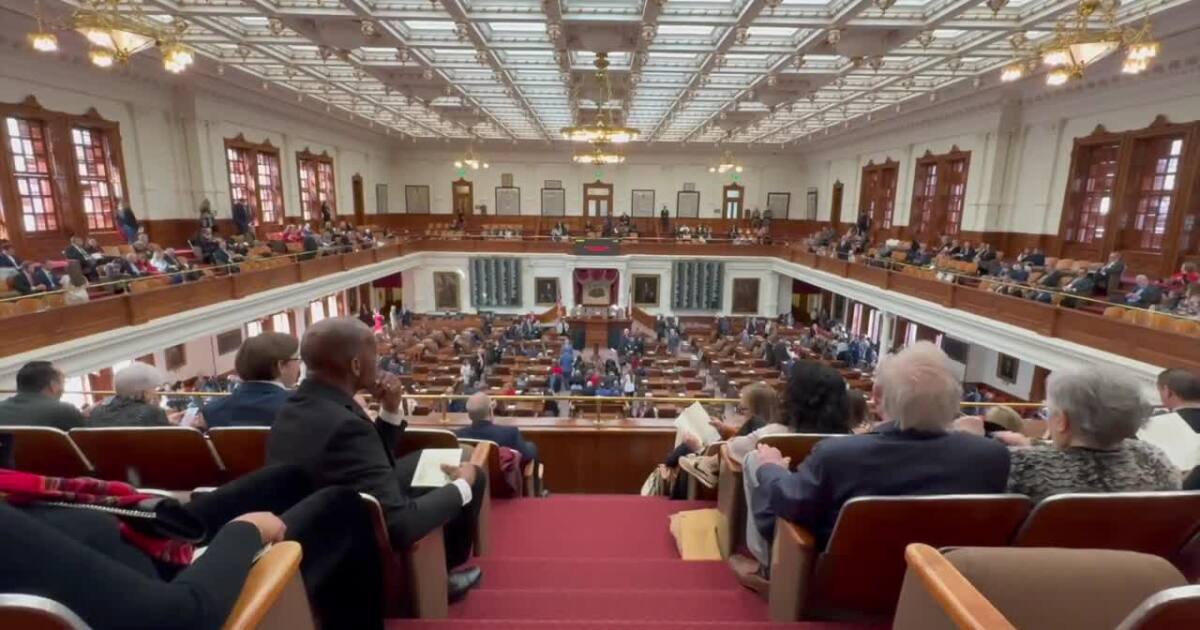 State Rep. Pat Curry weighs in on the Texas DOGE committee