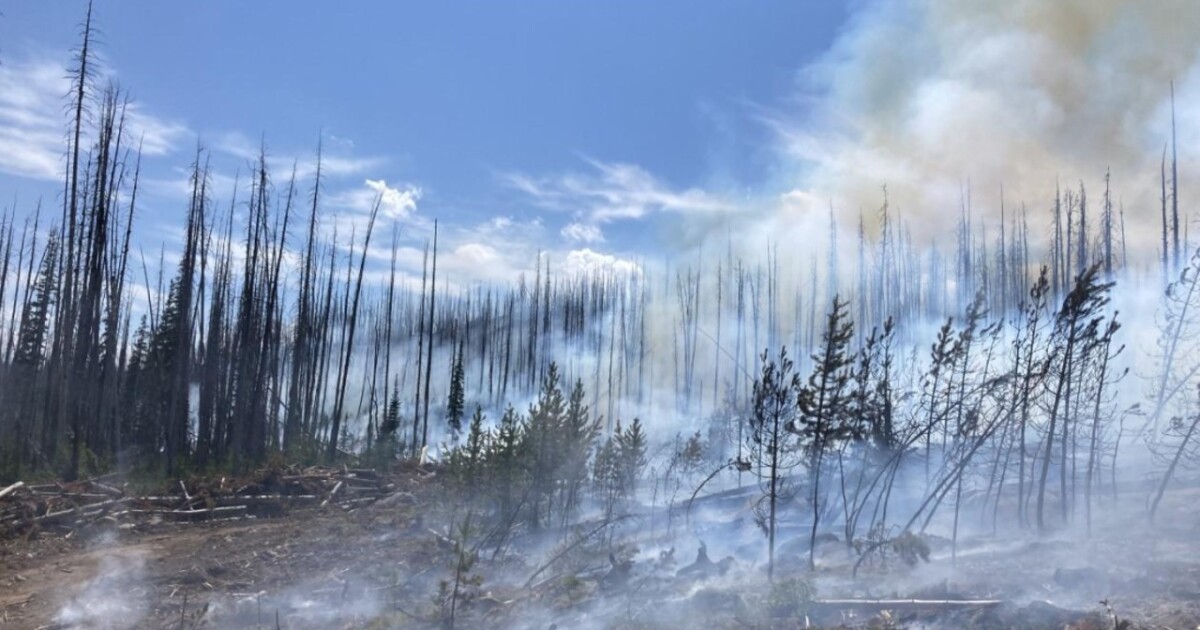 bitterroot national forest fire