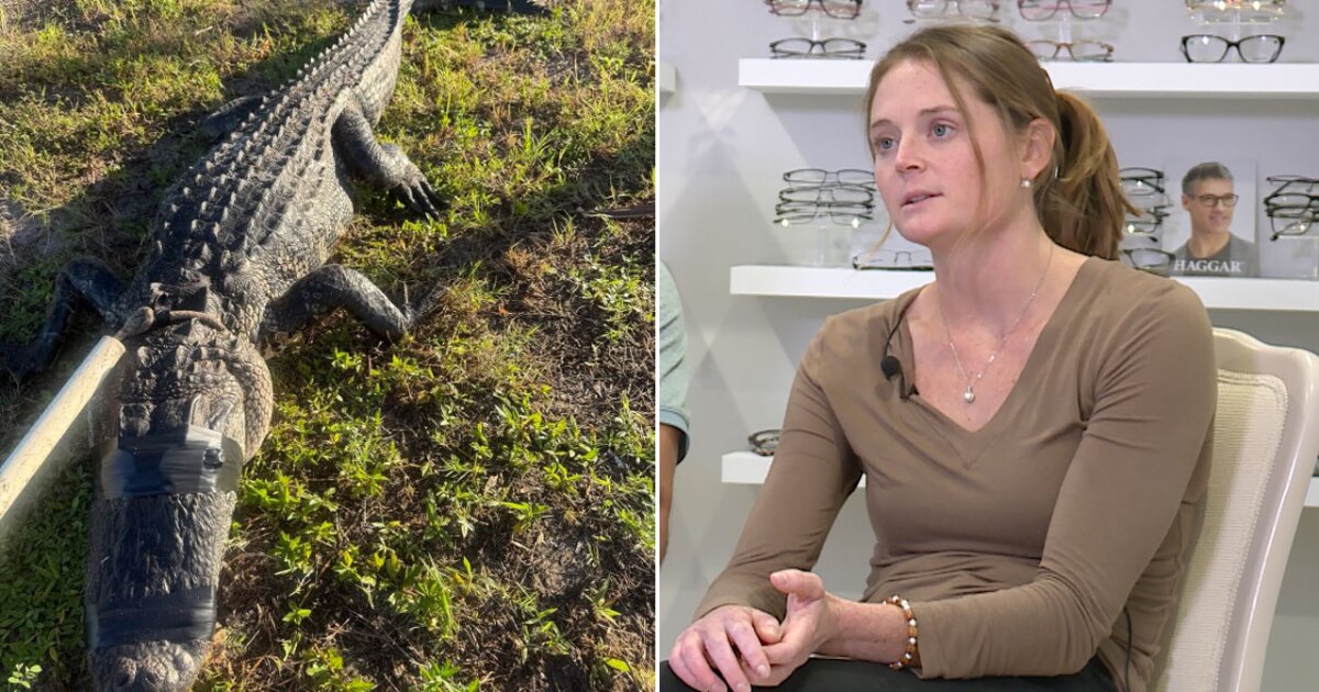 'I was just punching his head': Florida woman recalls gruesome ...