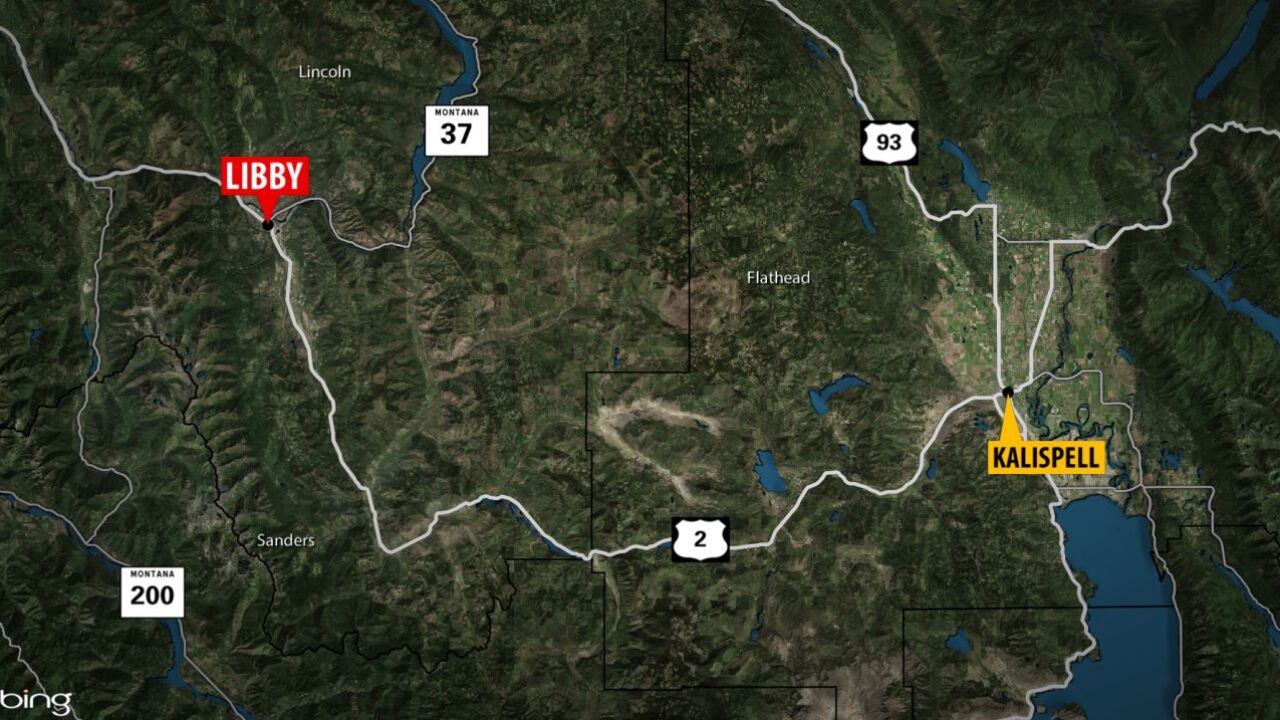 Woman and several dogs die in Libby fire