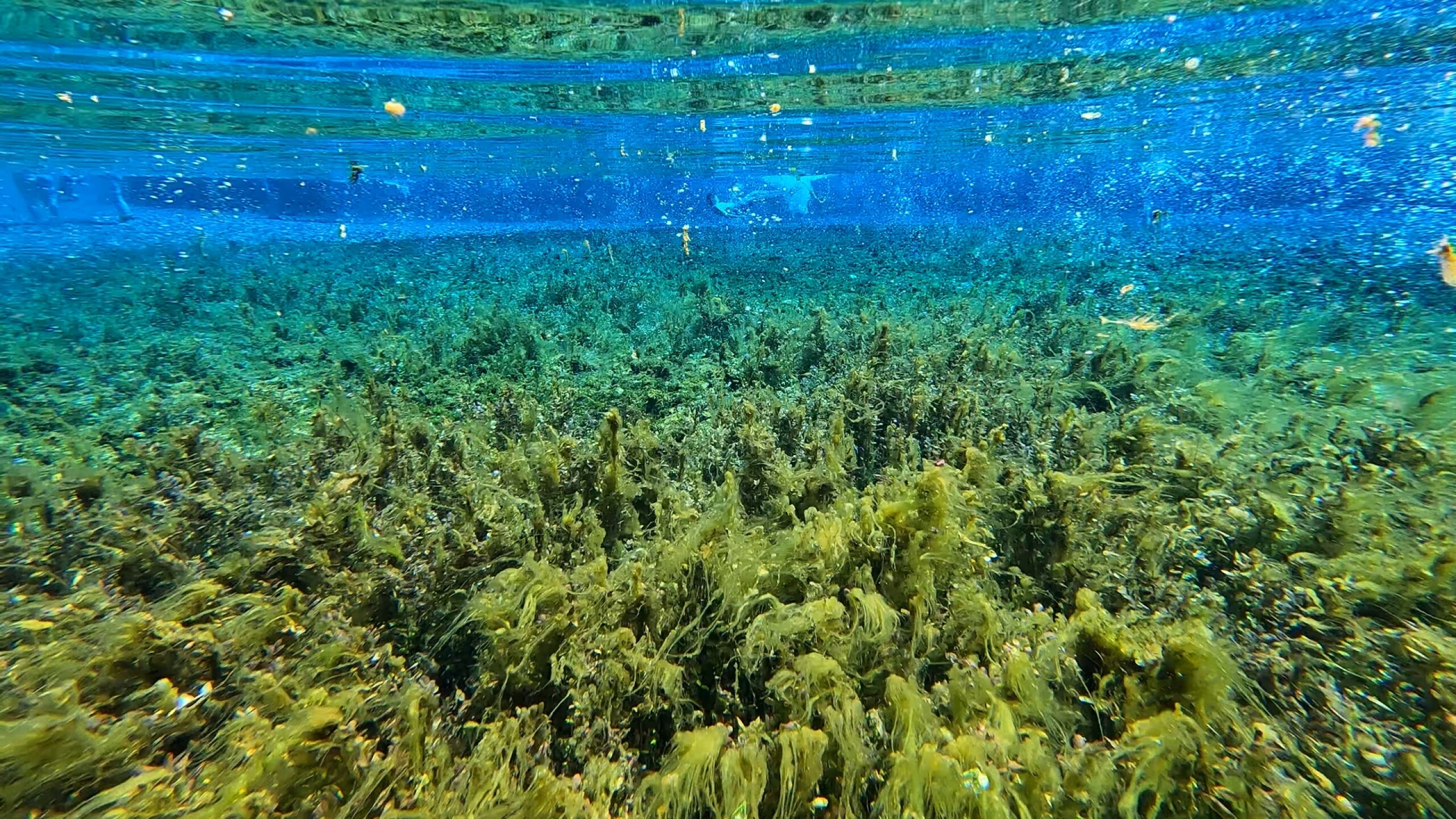 'Very refreshing': Gigantic Warm Spring popular spot for Lewistown locals