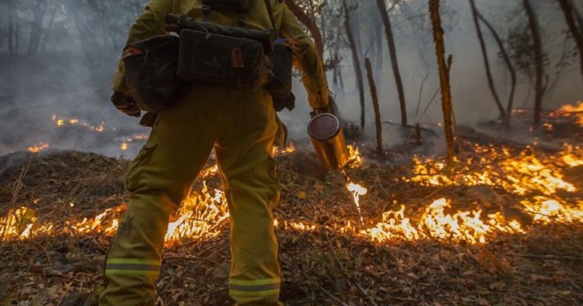 Metro Detroit suffering firefighter shortage